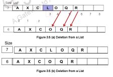 Array Implementation Of List ADT Data Structures