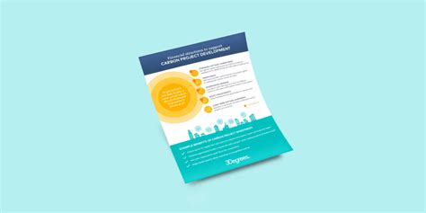 Financial Structures To Support Carbon Project Development Infographic