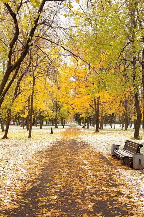 Fall In The Park Stock Photo Image Of Bright Fall Seasons 16502918