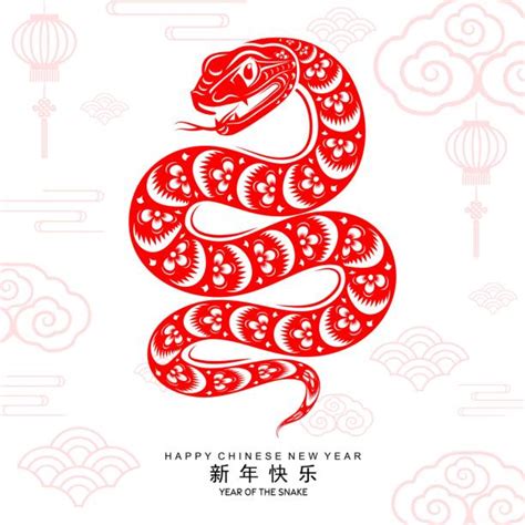 97 100 Serpent Stock Illustrations Graphiques Vectoriels Libre De