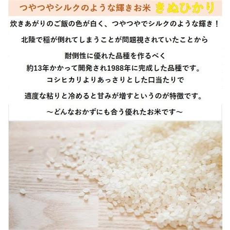 令和6年 新米 近江米 キヌヒカリ 玄米 1袋／10kg おいしいお米 きぬひかり 滋賀県産 ※精米されておりませんのでご注意ください