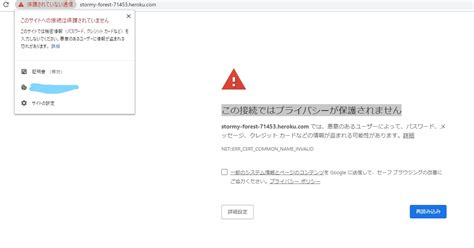 chromeでこの接続ではプライバシーが保護されませんとでる