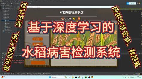 基于深度学习的水稻病害检测系统（含ui界面、yolov8、python代码、数据集） 知乎