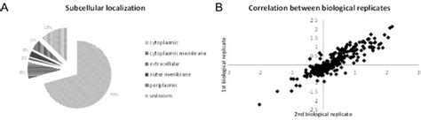 Subcellular Localization Prediction Using Psortb Revealed That