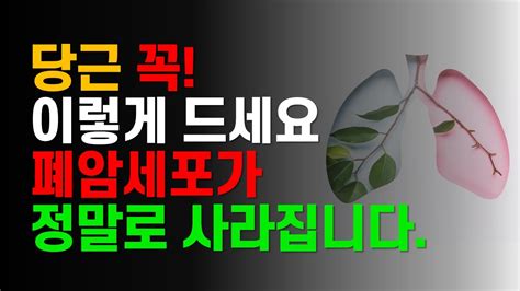 당근을 이렇게 먹으면 폐암을 막아주는 탁월한 효과가 있습니다 만성기침 가래 기관지 피부건강 눈건강 노안 해독주스 Youtube