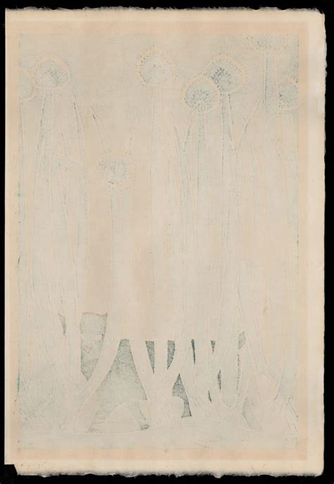 Shiro Kasamatsu Flower Of Leek