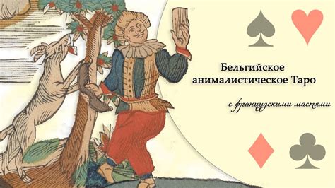 Бельгийское таро с животными / французские масти в таро / таро не для ...