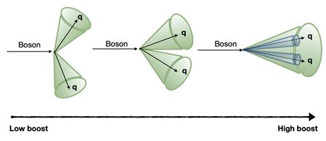 Performance Of Jet Flavour Algorithms Ml To Calibrate Ml In Data Cms