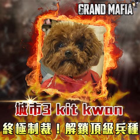 世界頭條！【kit Kwan】4階成員制霸🐶🐶 大黑幫 The Grand Mafia