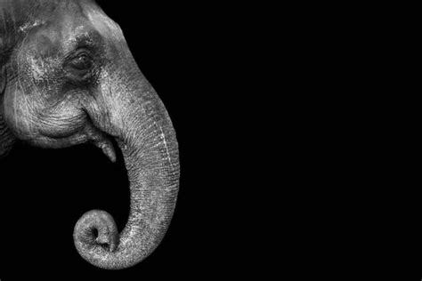 The Postgres Replication Dilemma Truth About Hot Standby Feedback By