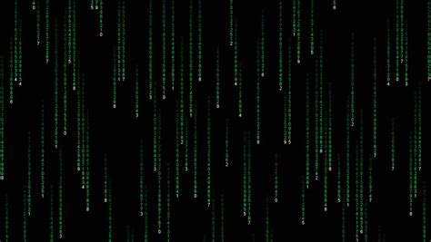 Matrix Binary Rain High Definition Animated Stock Footage Video Royalty Free