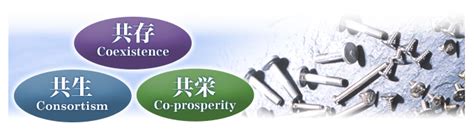 業務案内｜株式会社 共栄ファスナー