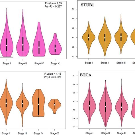 pathological stage plot of idc from gepia idc invasive ductal
