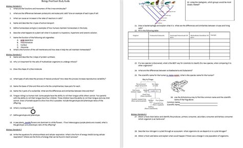 Final Exam Study Guide