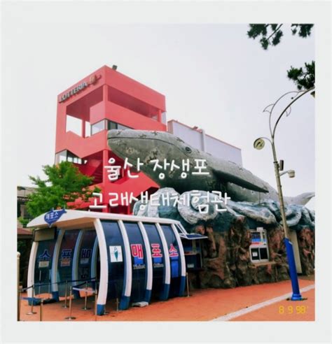 울산장생포고래박물관고래생태체험관고래문화마을모노레일 1탄 네이버 블로그