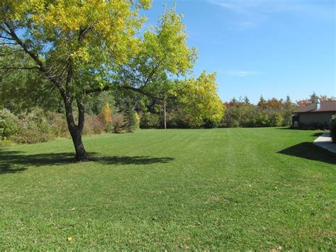 Heartview Foundation Cando Cando Nd