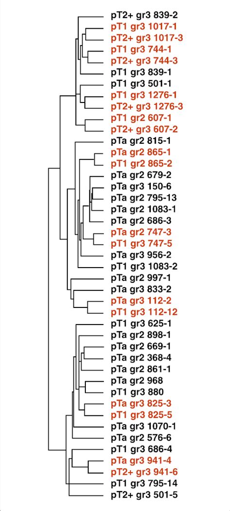 Hierarchical Cluster Analysis Of The Metachronous Tumor Samples