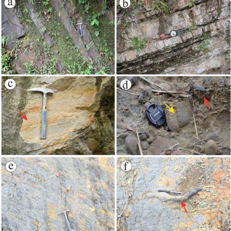 Field Photographs Showing A Upper Part Of The Barail Group Consisting