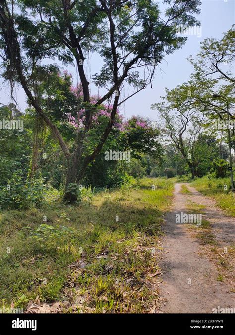 Botanical Garden Trail Hi Res Stock Photography And Images Alamy