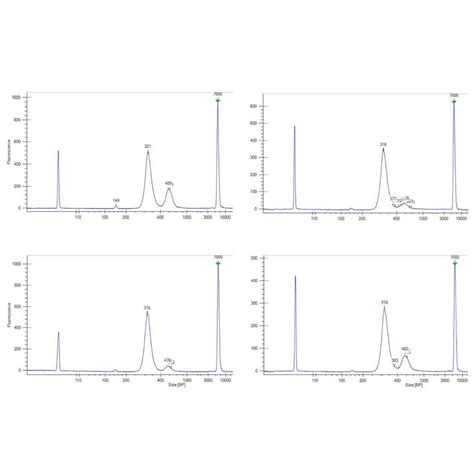 Nextflex Cell Free Dna Seq Kit 10 Ng Cfdna Library Prep