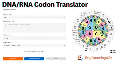 Dnarna Codon Translator Engineeringa2z