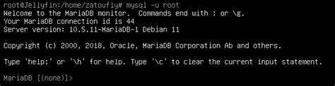 Installer Un Serveur LAMP Sur Debian 11