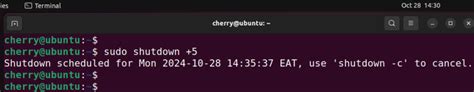 What Is The Linux Shutdown Command With Examples Cherry Servers