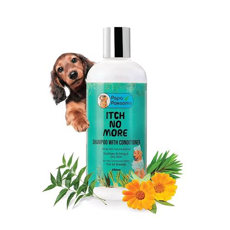 8 Best Dog Shampoos For A Perfect Bath This Summer 2023 2023