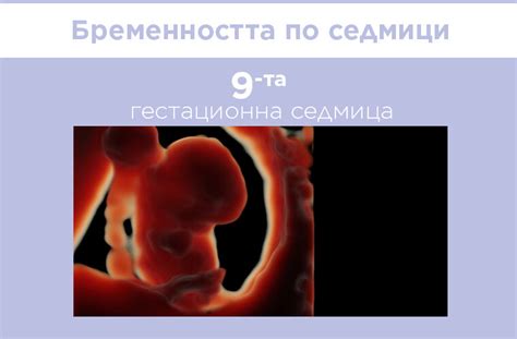 Антимюлеров хормон какво представлява и какво ни показва Д р Сигридов