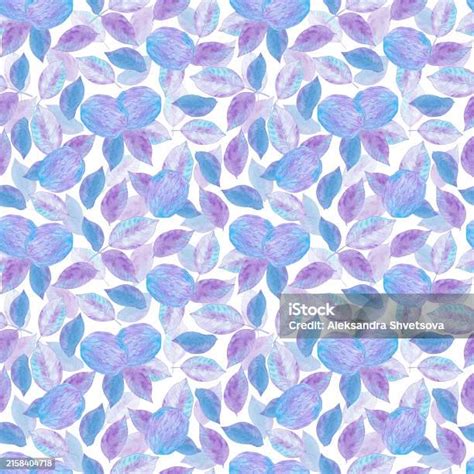 손으로 그린 수채화 보라색 호두 와 잎 Seamless 패턴 와 백색 배경 고립된 고립된 섬유 직물 포장 및 기타 인쇄 제품에 사용할 수 있습니다 0명에 대한 스톡 벡터