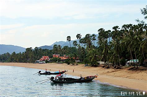 태국코사무이koh Samui 6 코 따오koh Tao And 코 낭유안koh Nangyuan 으로 스노클링하러