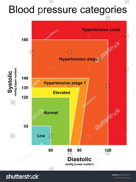 Blood Pressure Categories Infographic Chart Isolated Stock Vector