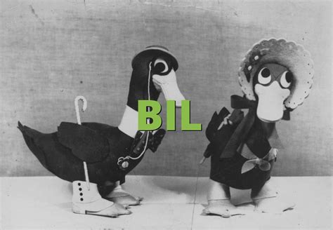 Bil Meaning