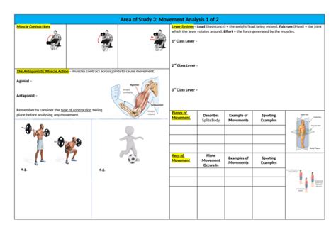 Wjec Area Of Study 1 5 Gcse Pe Teaching Resources