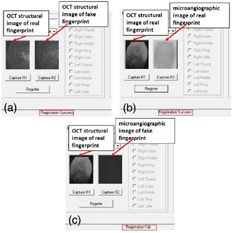 A Structural Oct Image Of Fake Fingerprint Matches That Of A Real