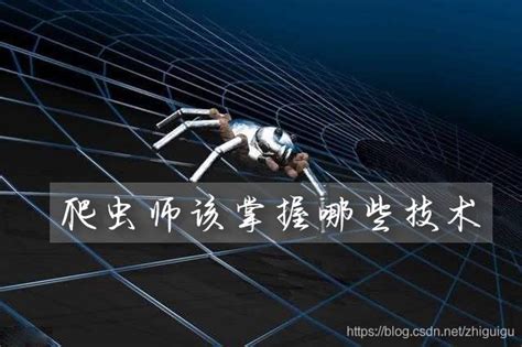 爬虫只要学习爬虫知识而已吗？别被骗了！ 只有学了phython才会爬虫吗 csdn博客