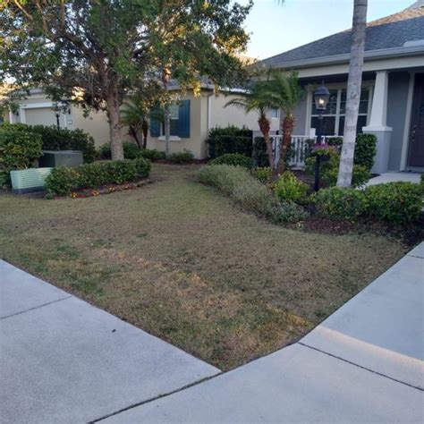 Lawn Care Bradenton Fl Mp Lawn Maintenance