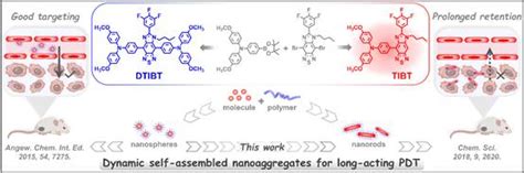 【科技自立自强】西安交大科研团队在自组装纳米诊疗材料领域取得新进展 西安交通大学化学学院