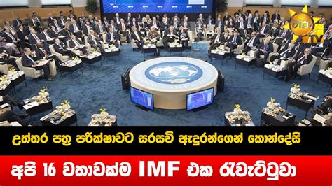 Imf