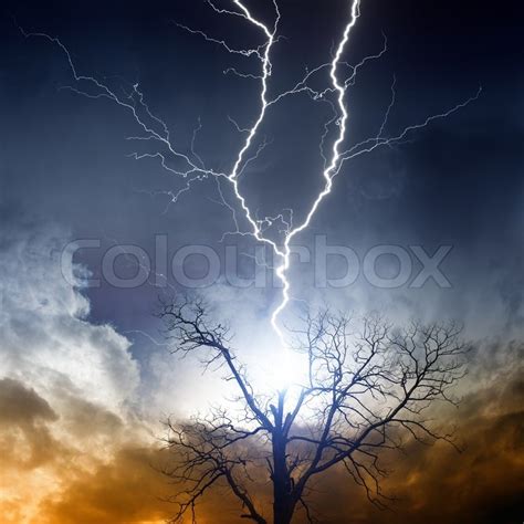 Tree Struck By Lightning Stock Image Colourbox