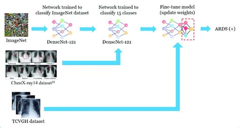 Workflow Of The Convolutional Neural Network CNN Model With Transfer