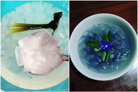11 Resep Olahan Lidah Buaya Segar Dan Bikin Ketagihan