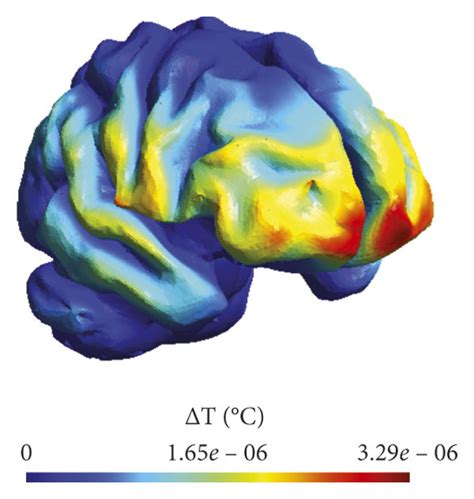 Temperature Increase On The Brain Surface Due To 1 8 Ghz Horizontally Download Scientific