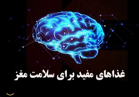 معرفی غذاهای مفید و تقویت کننده سلامت مغز اثرات تغذیه بر مغز مجله