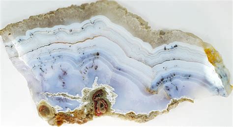 Polished Sowbelly Agate Slab For Lapidary From Creede Coloroado Etsy