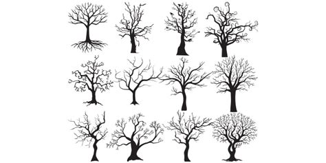 Branching Trees Svg Vector Design Masterbundles