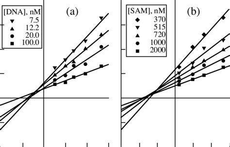 Double Reciprocal Plots Of The Dependences Of The Initial Rate Of The Download Scientific