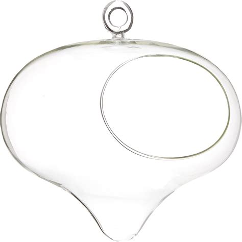 Wgv Clear Cb Style Turnip Glass Terrarium Vaseheart Shaped