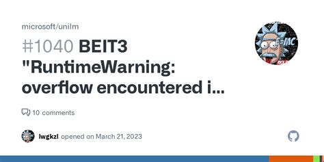 beit3 runtimewarning overflow encountered in scalar negative
