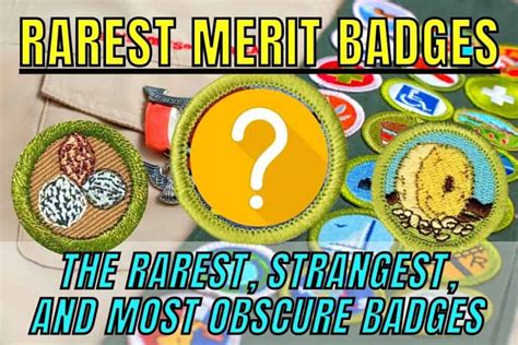 The 7 Rarest Strangest And Most Obscure Merit Badges In Scouts Bsa